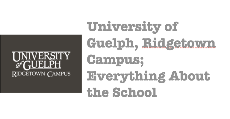Huron University College: A Hidden Gem for Students Seeking a Well ...